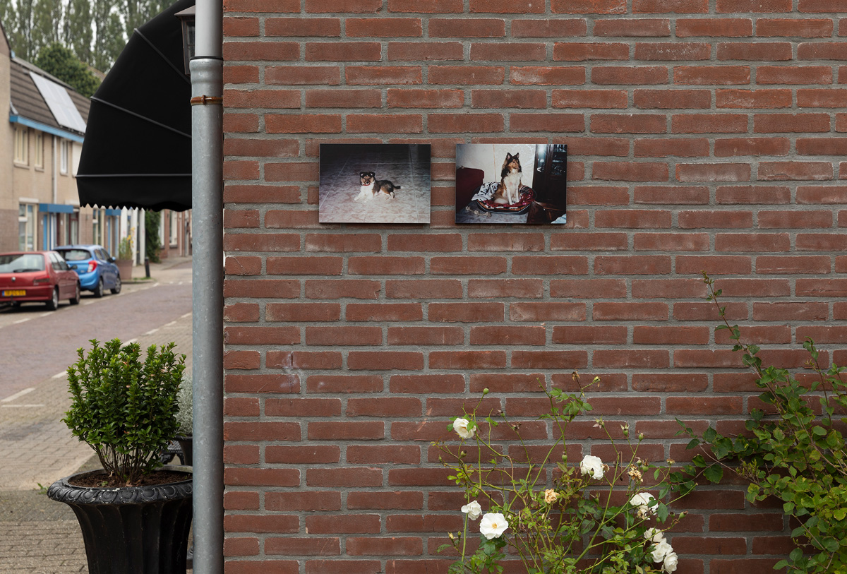 Kunst in de openbare ruimte Utrecht